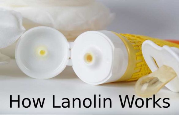Lanolin Hand Cream - Vigor Blog